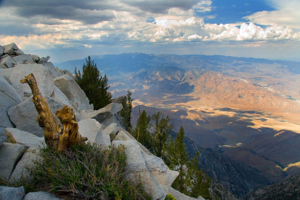 Create Experience Investment Summit - 2023 - CREATE - The Future of ...